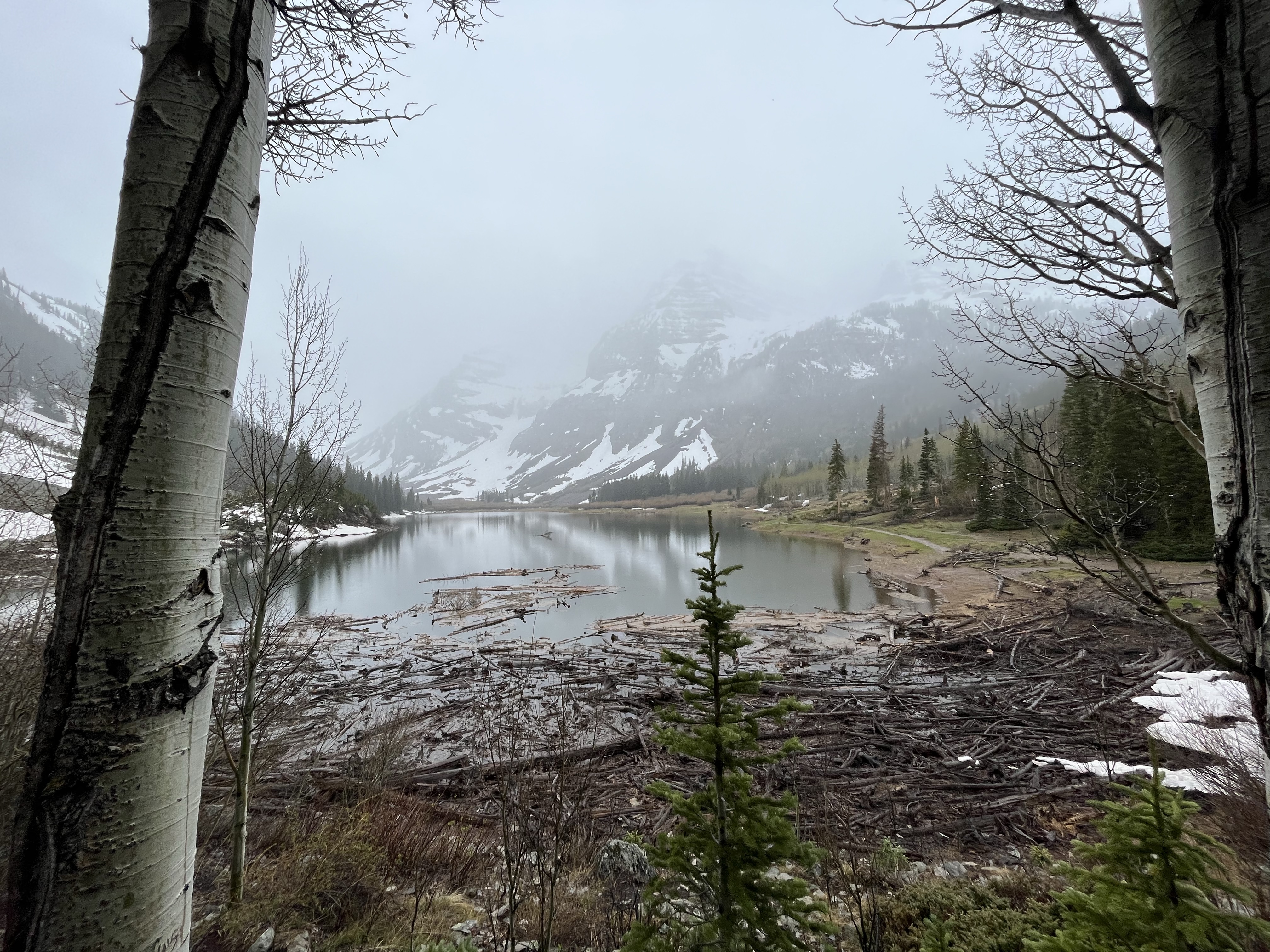 Aspen Mist – daily art enrichments